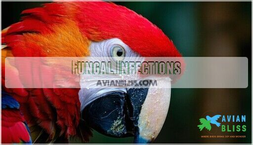 Bird Eye Infection Treatment: Symptoms, Causes, and Effective Care