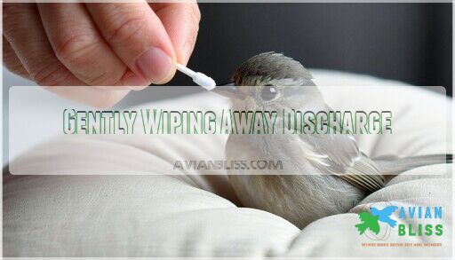 How to Help Bird With Respiratory Problems: Signs, Causes, and Care
