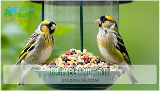 Healthy Bird Diet for Finches: Complete Nutrition Guide for Pet Birds