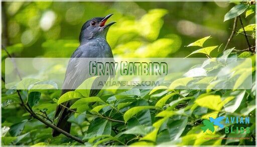 Small Birds in Florida: ID Guide with Photos