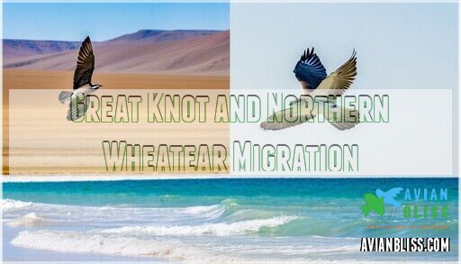 Bird Migration Distance by Species: Shocking Records That Will Amaze You