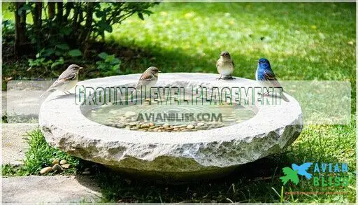 How to Attract Birds to a Bird Bath: Simple Tips for Your Backyard