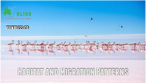 Do Flamingos Migrate? Surprising Facts About Their Flight and Patterns