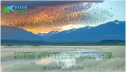 Migrating Bird Habitats in North America: Key Flyways and Conservation