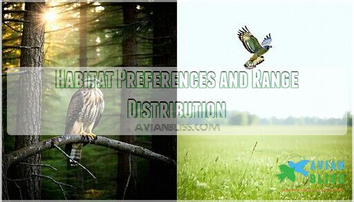 Sharp-shinned Hawk Vs American Kestrel: Key Differences Explained