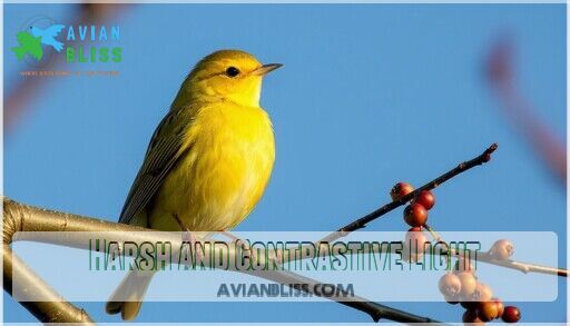 Bird Photography Lighting Techniques: Tips for Stunning Avian Shots
