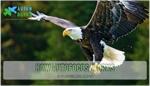 Focusing Techniques Bird Photography: Master Sharp Wildlife Shots