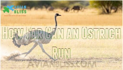 How Fast Can Ostriches Run? Learn Their Top Speed and Amazing Abilities