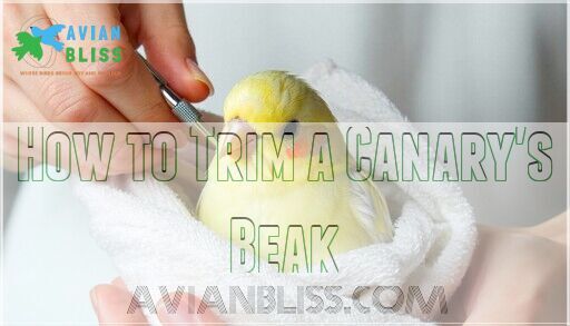Canary Beak Problems Treatment: 10 Solutions Every Bird Owner Must Know