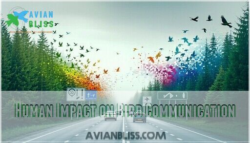 Understanding Bird Communication Methods: How Birds Talk and Connect