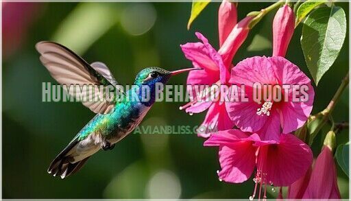 Hummingbird Quotes to Uplift Your Spirit and Inspire a Colorful Life