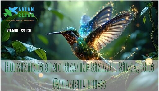 Little Known Facts About Hummingbird Anatomy Revealed