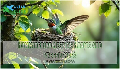 Bird House for Hummingbirds: Build or Buy? Top Tips & Ideas for 2025