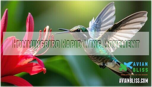Small Bird Species Facts: Traits, Colors, Feeding Habits & Behaviors