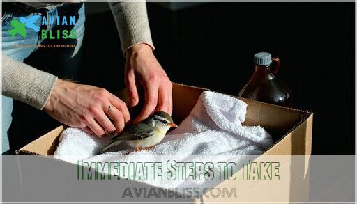 Bird First Aid for Broken Leg: Steps to Help Injured Birds Quickly
