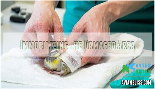 Bird First Aid for Broken Leg: Steps to Help Injured Birds Quickly