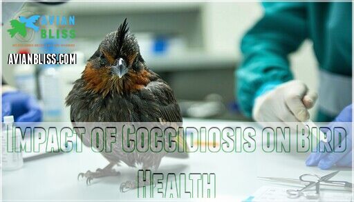 Treating Birds for Coccidiosis Naturally Fast