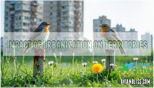 Bird Behavior Territorial Defense: Shocking Battle Tactics Revealed!