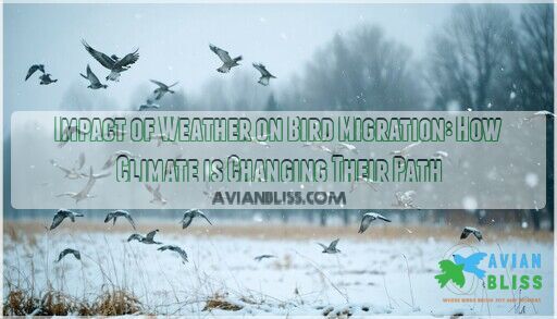 Impact of Weather on Bird Migration: How Climate is Changing Their Path