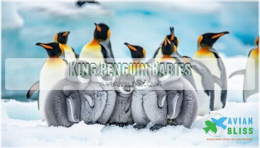 Baby Penguin Facts: Adorable Chicks That Will Melt Your Heart