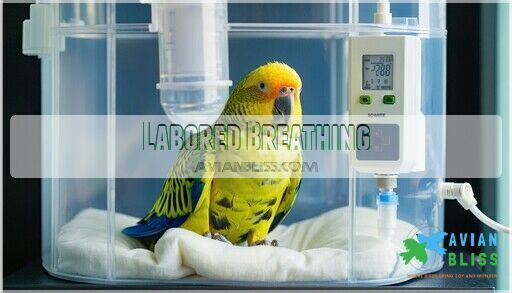 Causes of Respiratory Distress Birds: Emergency Signs & Treatment Tips