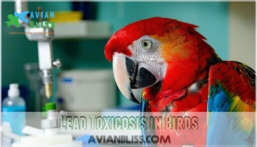 Bird Poisoning Symptoms Treatment: Act Fast