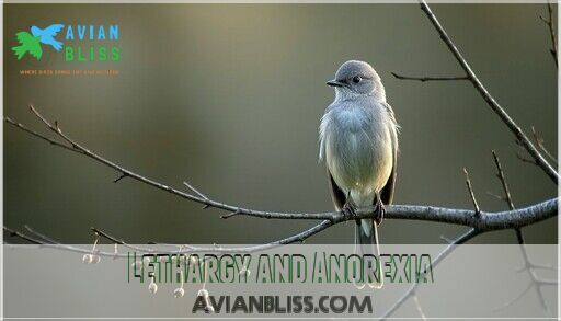 Bird Neurological Disease Symptoms: 9 Critical Warning Signs Every ...