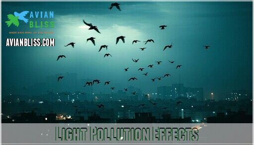 Birds That Migrate at Night: How They Navigate and Avoid Predators