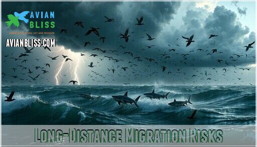 Bird Migration Survival Challenges: Why 65% of Migrants Won't Return Home
