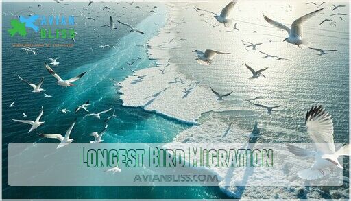 Bird Migration Distance by Species: Shocking Records That Will Amaze You