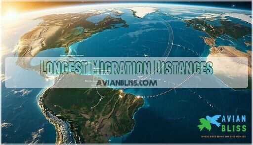 Bird Migration Stopover Locations: 7 Critical Refueling Sites Birds Can ...