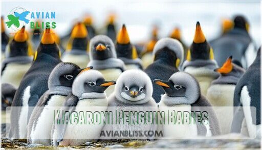Baby Penguin Facts: Adorable Chicks That Will Melt Your Heart