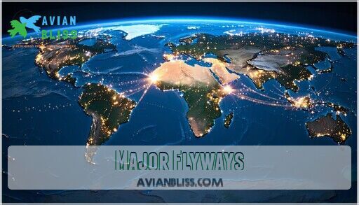 Bird Migration Stopover Locations: 7 Critical Refueling Sites Birds Can ...