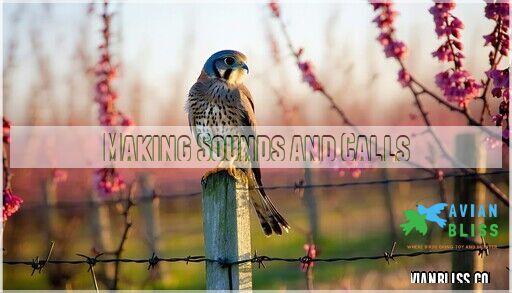 Bird Behavior Mating Rituals: Amazing Dances, Displays, and Courtship