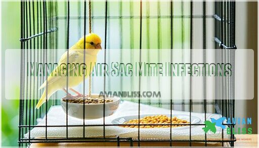 Treating Air Sac Mites in Canaries: Fast Relief & Prevention Tips