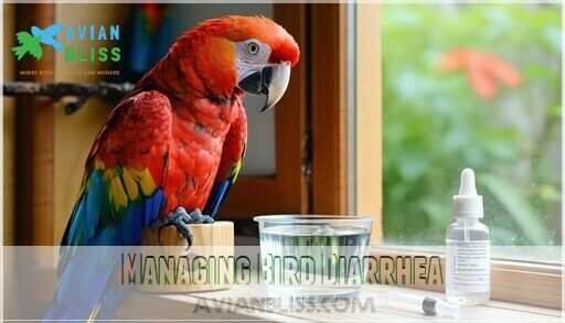 Bird Diarrhea Treatment Home Remedies: Simple Tips for Quick Relief