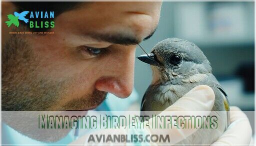 Bird Eye Infection Treatment: Symptoms, Causes, and Effective Care