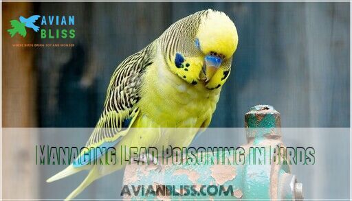 Bird Poisoning Symptoms Treatment: Act Fast