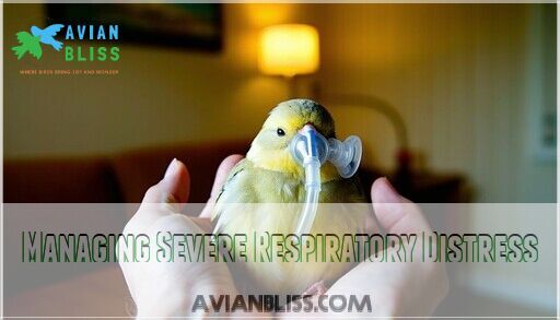 How to Help Bird With Respiratory Problems: Signs, Causes, and Care