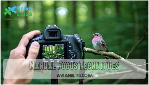Focusing Techniques Bird Photography: Master Sharp Wildlife Shots