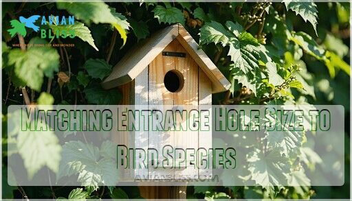 Outdoor Bird House Safety Tips: 7 Essential Ways to Protect Birds