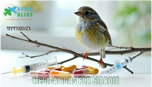Bird Giardia Treatment Options: 5 Proven Meds for Sick Birds (4 Works Fast)
