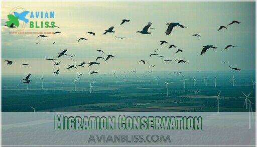 Bird Behavior Migration Patterns: Secrets of Epic Journeys Revealed