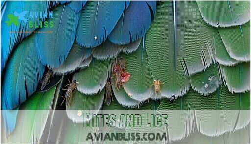 Recognizing Signs of Avian Parasites: Symptoms Every Bird Owner Should Know