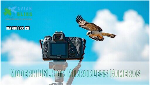 How to Photograph Birds in Flight: Pro Tips