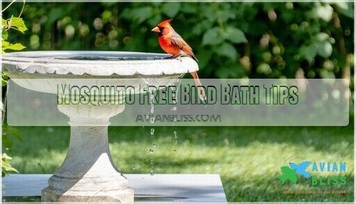 Bird Bath Mosquito Dunks: Protect Your Feathered Friends Now!