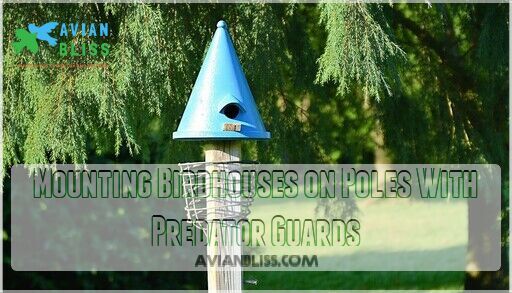 Best Bird House for Small Birds: Top 10 Picks for 2025 That Work