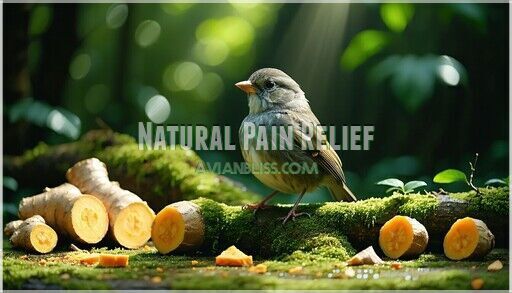 Natural Bird Care Solutions: Relieve Inflammation & Boost Bird Health
