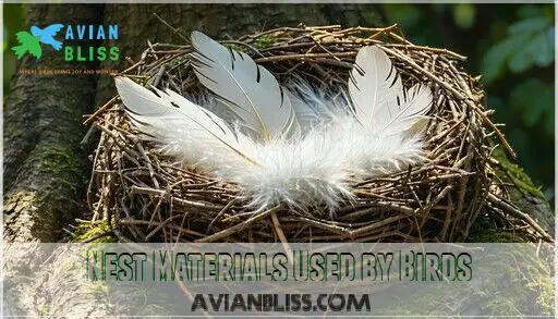 Bird Facts About Nests: 23 Amazing Secrets That Will Blow Your Mind