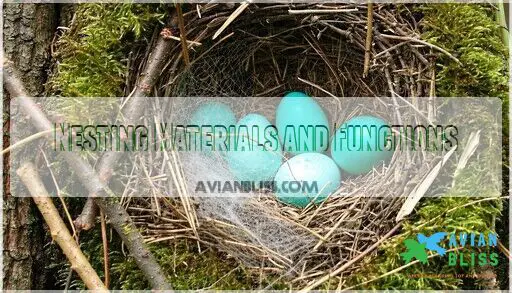 Bird Behavior Nest Building: Secrets Behind Nests and Birdhouses